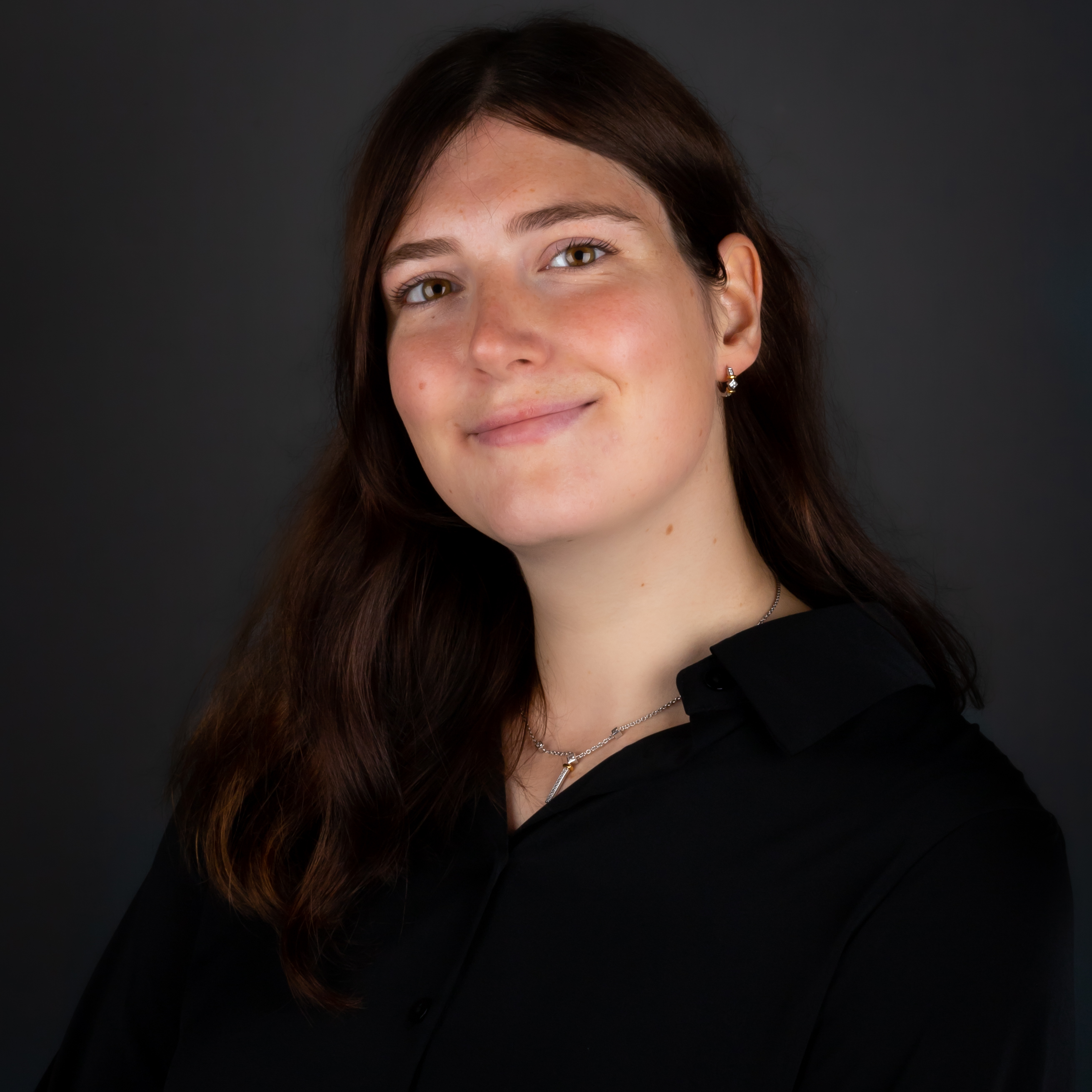 Spraakgestuurd rapporteren - Digizo.nu